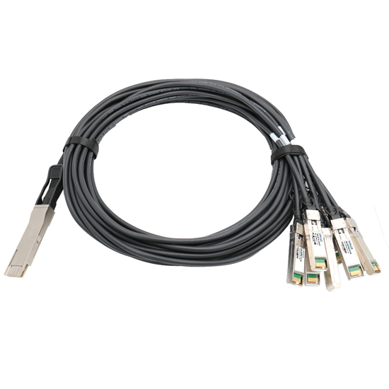 200G QSFP-DD to 8x 25G SFP28 DAC Passive Direct Attach Copper Breakout ...