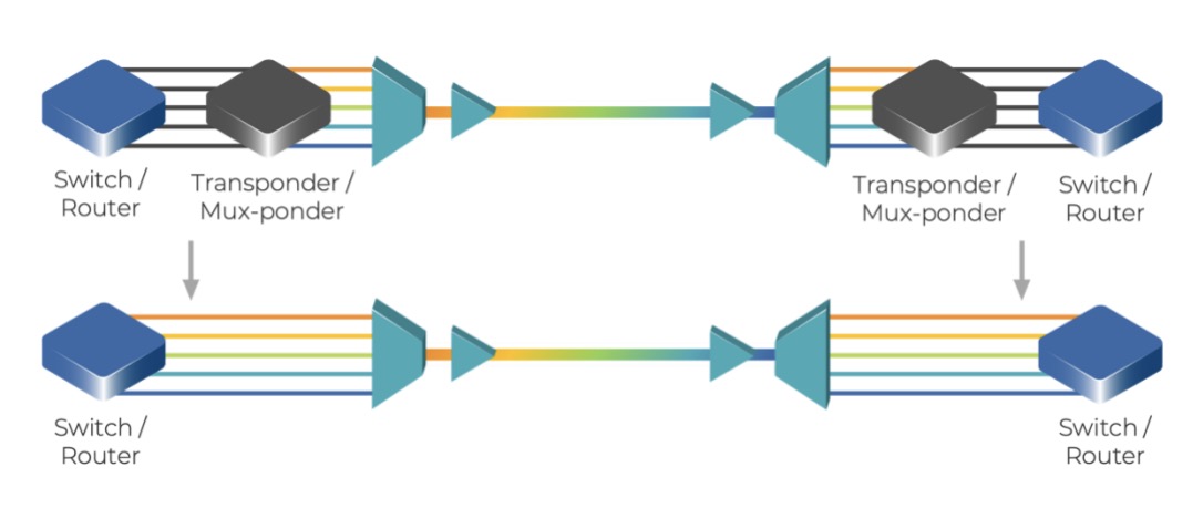 What is IP over DWDM (IPoDWDM)? - TARLUZ - FIBER OPTIC SUPPLIERS
