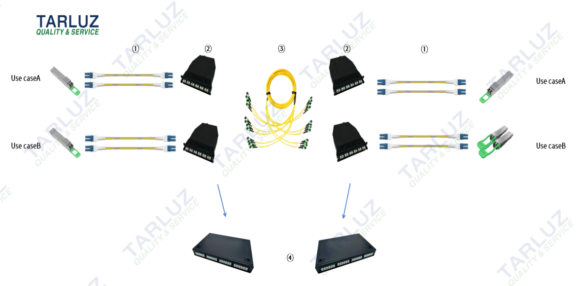 Cabling Guide ⑥ | 800G/400G: Switch-to-Switch Structured LC ...