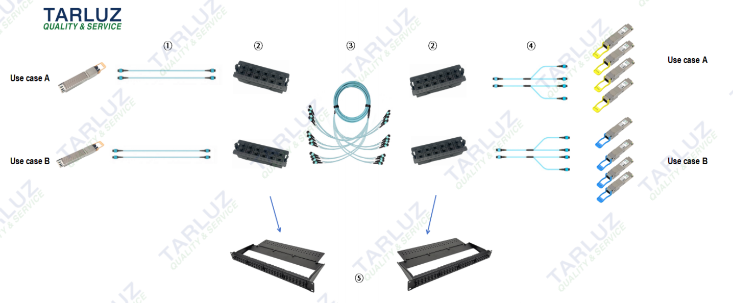 Cabling Guide ④ | 800G/200G: Switch-to-Switch Structured MPO ...